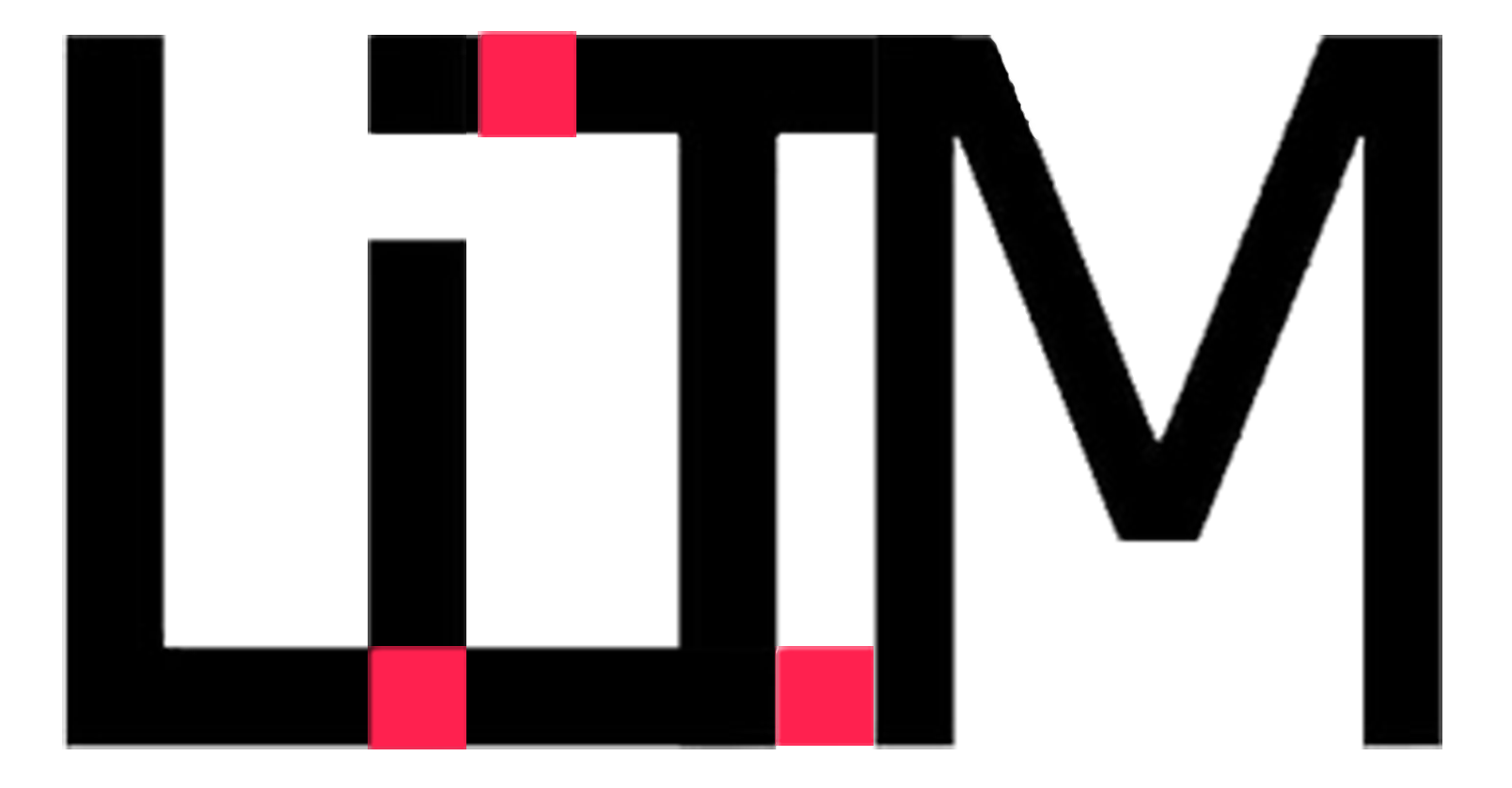 LITM Creative – Live in the Moment